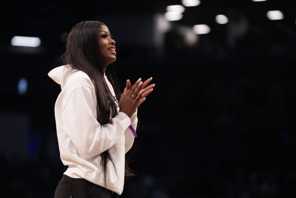 WNBA Star Stuns Fans With Spectacular Look At NBA All-Star Celebrity ...
